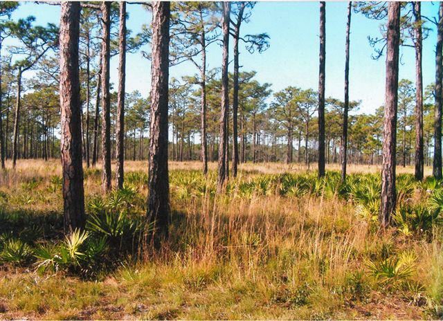 Locations Hub - Duette Preserve