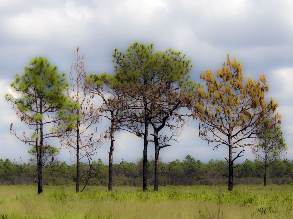 Locations Hub - Duette Preserve